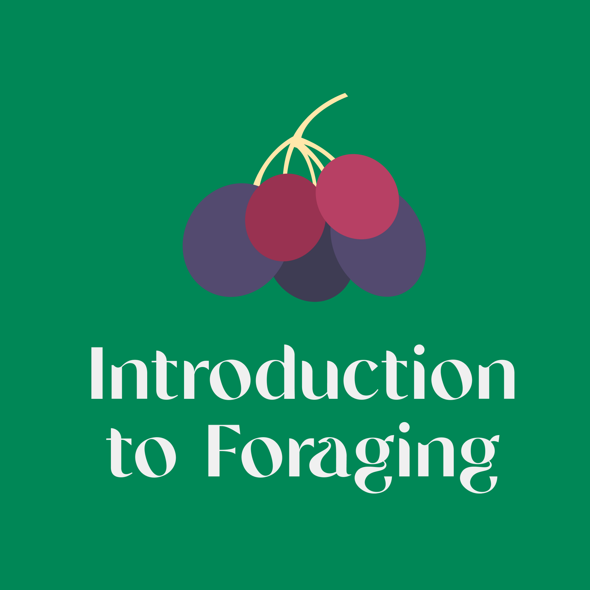 Mulberries — Morus spp. | Edible Wild Plant Info
